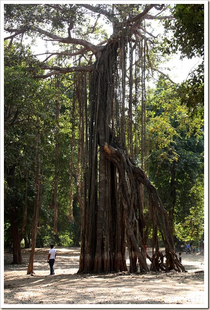 Nothing Official Here: Testing the mightiness of Mini...